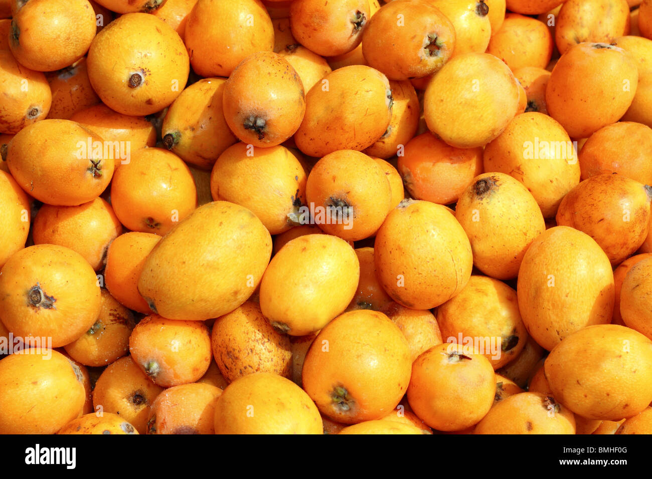 Gelbe Mispel Stockfotos und -bilder Kaufen - Alamy