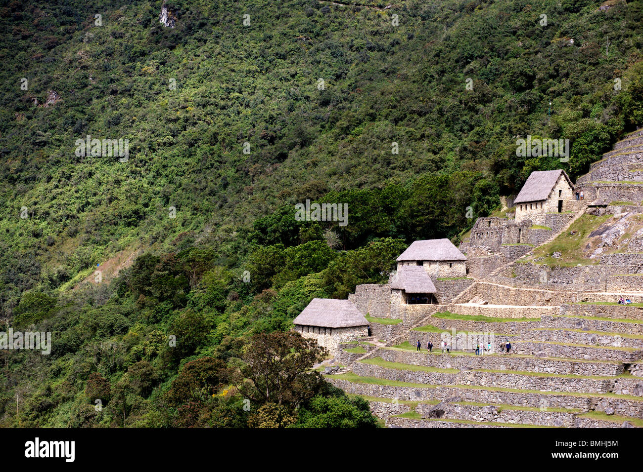 Inka bause -Fotos und -Bildmaterial in hoher Auflösung – Alamy