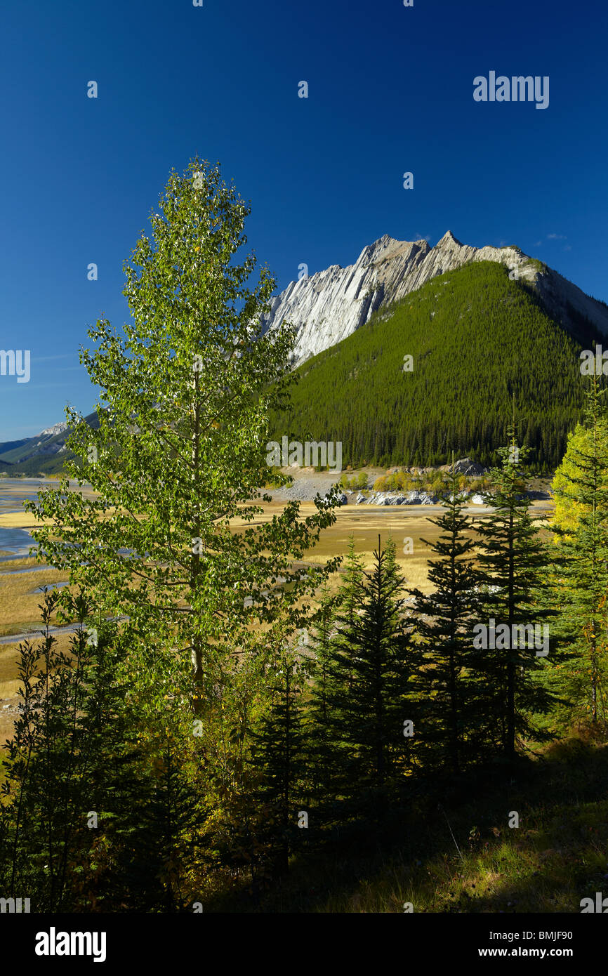 Maligne valley mountain range berge nationalpark -Fotos und ...