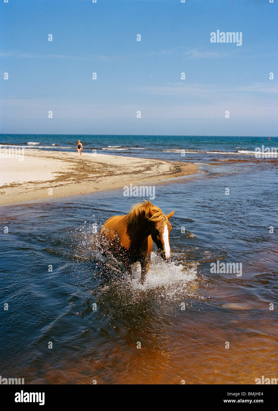 Menschen, die im meer baden -Fotos und -Bildmaterial in hoher Auflösung – Alamy
