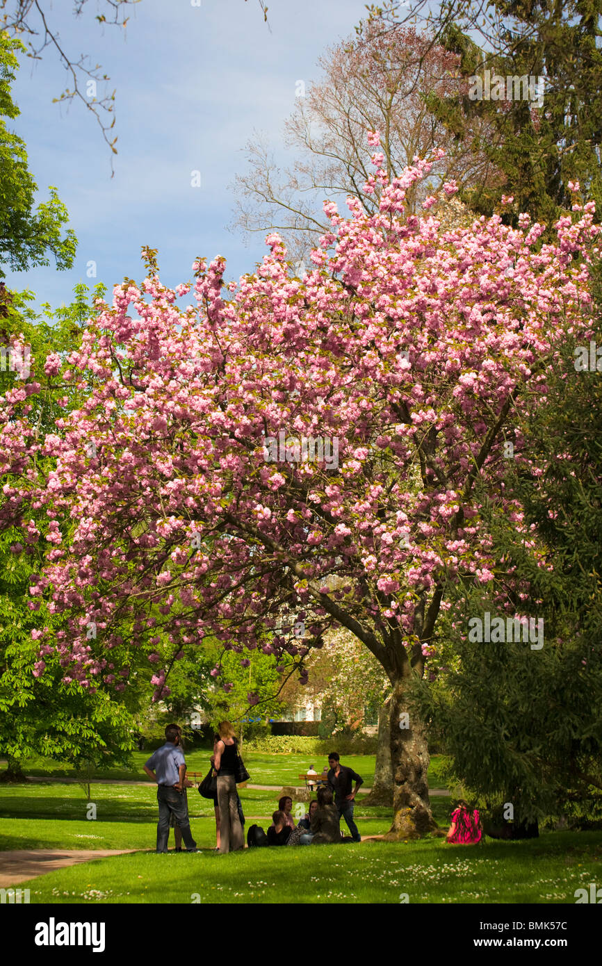 Groupe personne -Fotos und -Bildmaterial in hoher Auflösung – Alamy