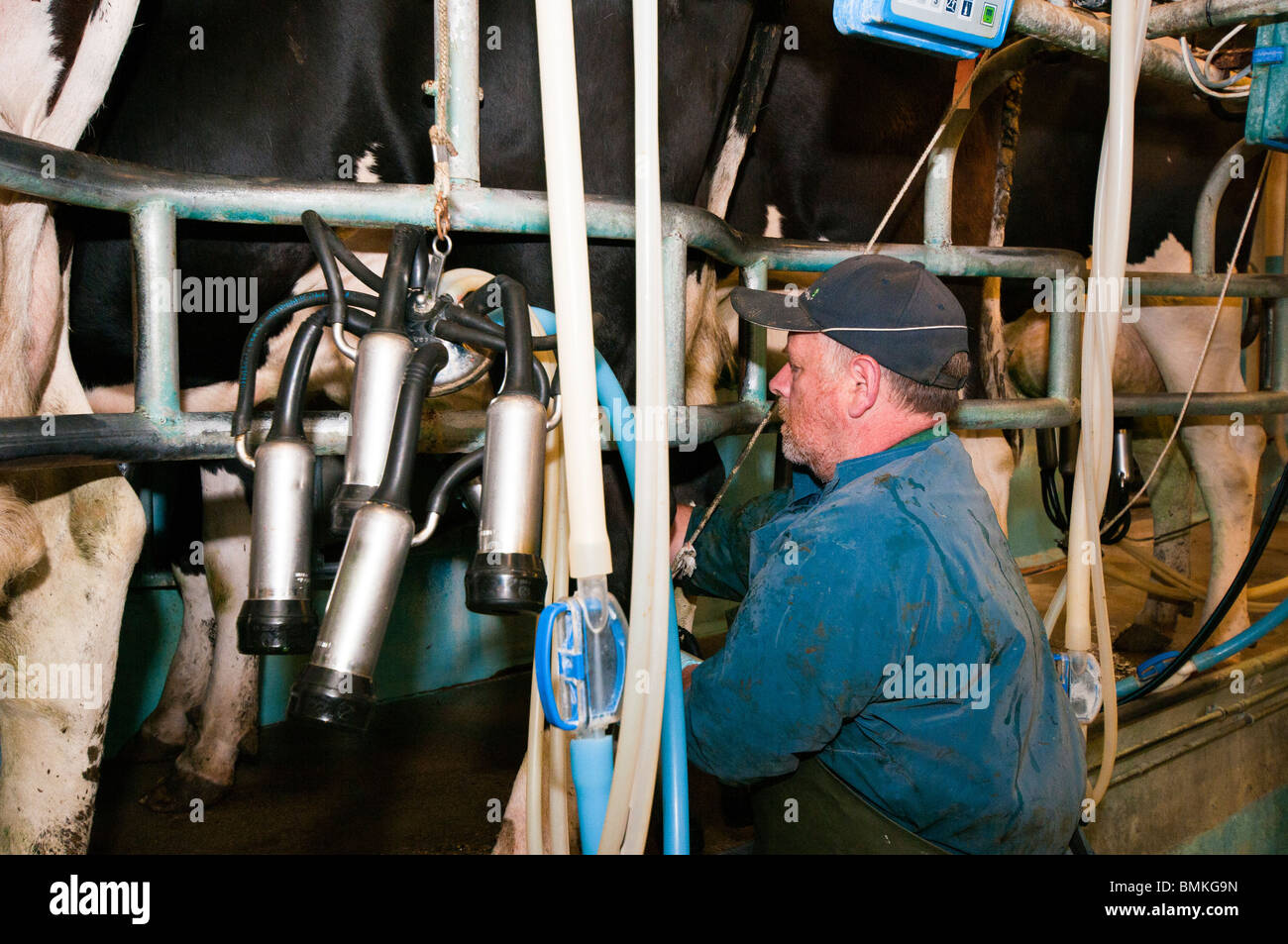 Moderner melkstand -Fotos und -Bildmaterial in hoher Auflösung – Alamy