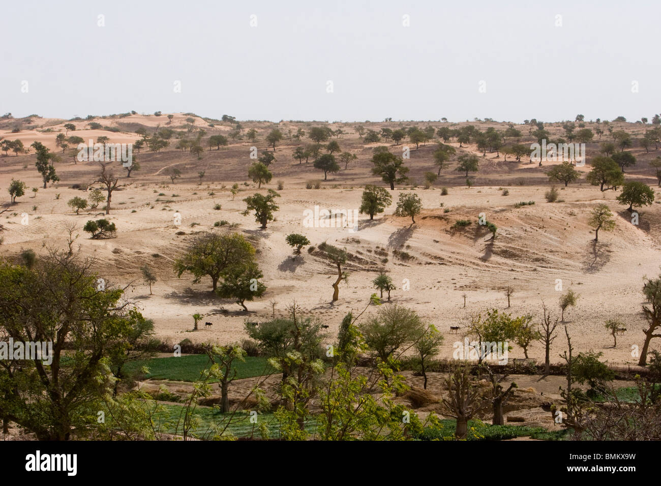 Sahel Landscape Stockfotos & Sahel Landscape Bilder - Seite 2 - Alamy