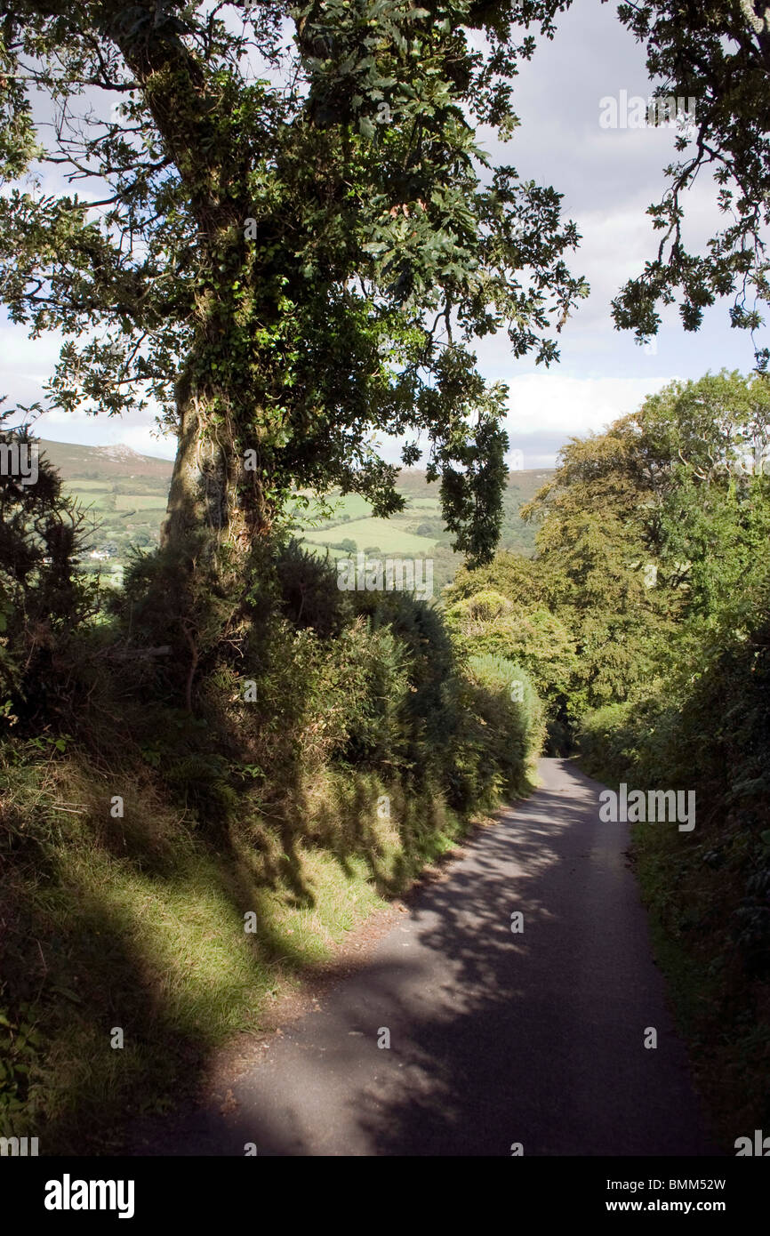 Widecombe im Moor Dartmoor Nationalpark Devon Westengland England uk gb ...