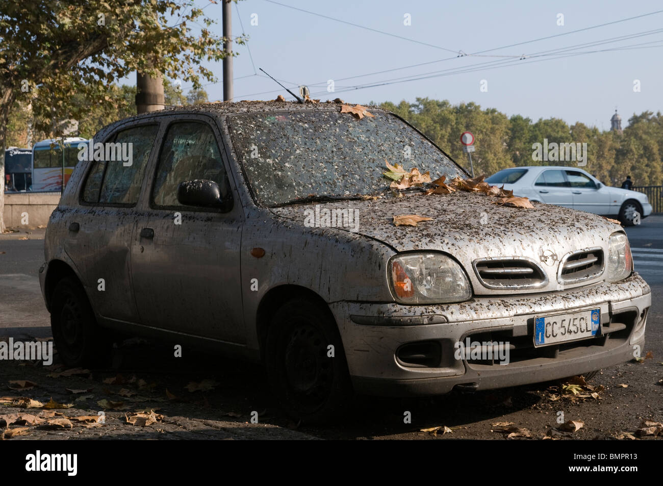 Stinkender po -Fotos und -Bildmaterial in hoher Auflösung – Alamy