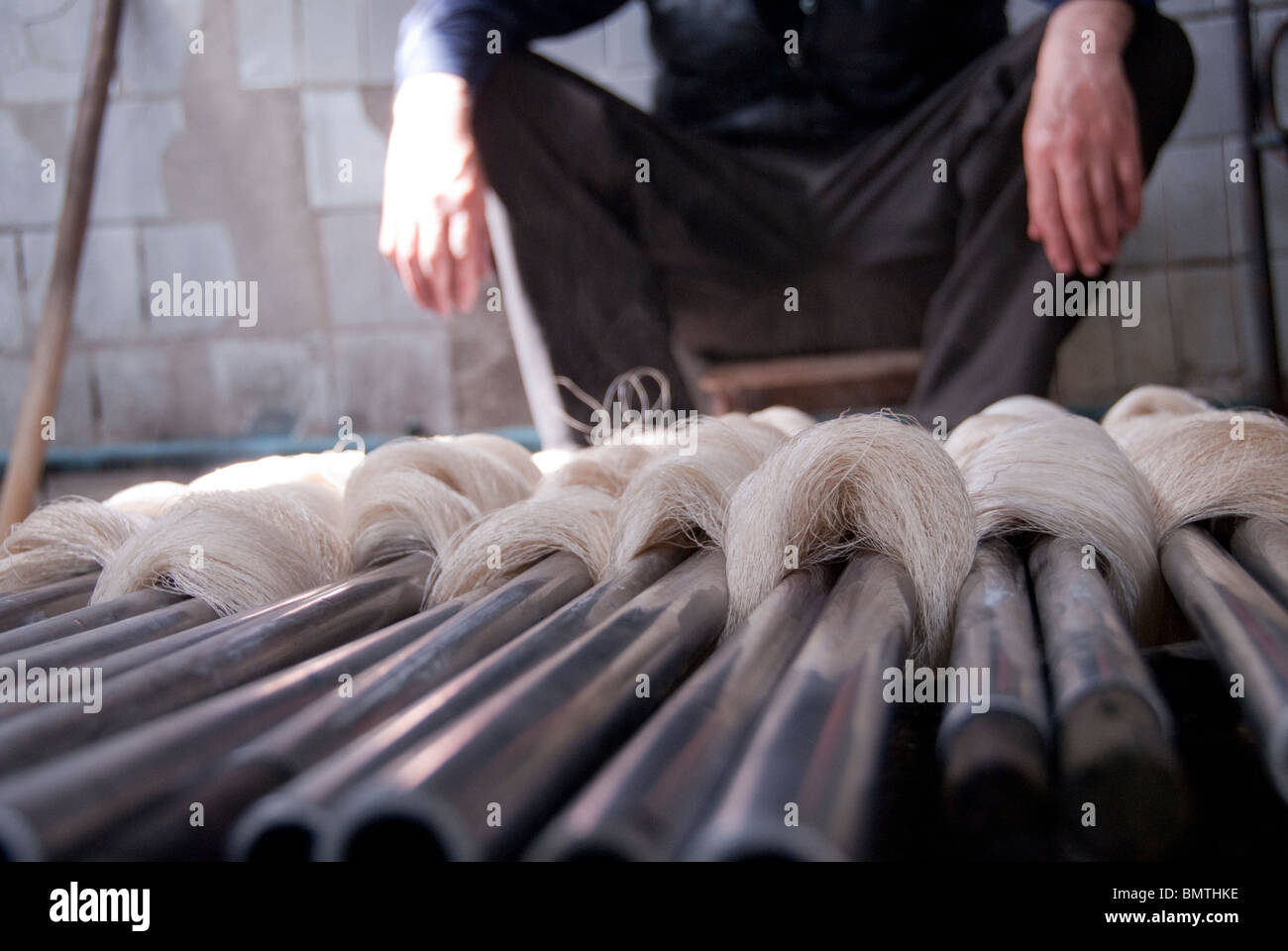 Seidenraupen produzieren -Fotos und -Bildmaterial in hoher Auflösung ...