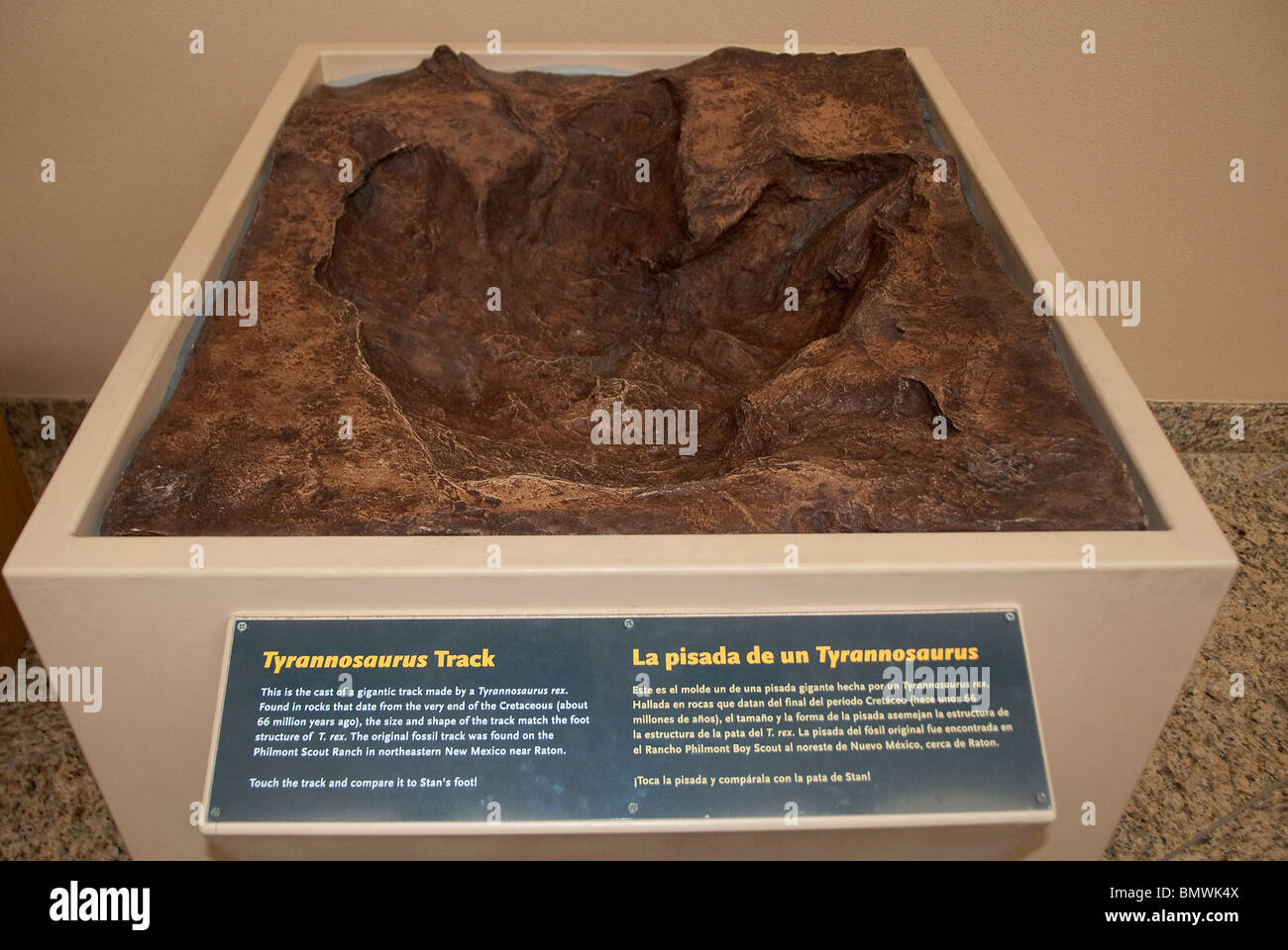 Historia natural y ciencias -Fotos und -Bildmaterial in hoher Auflösung ...