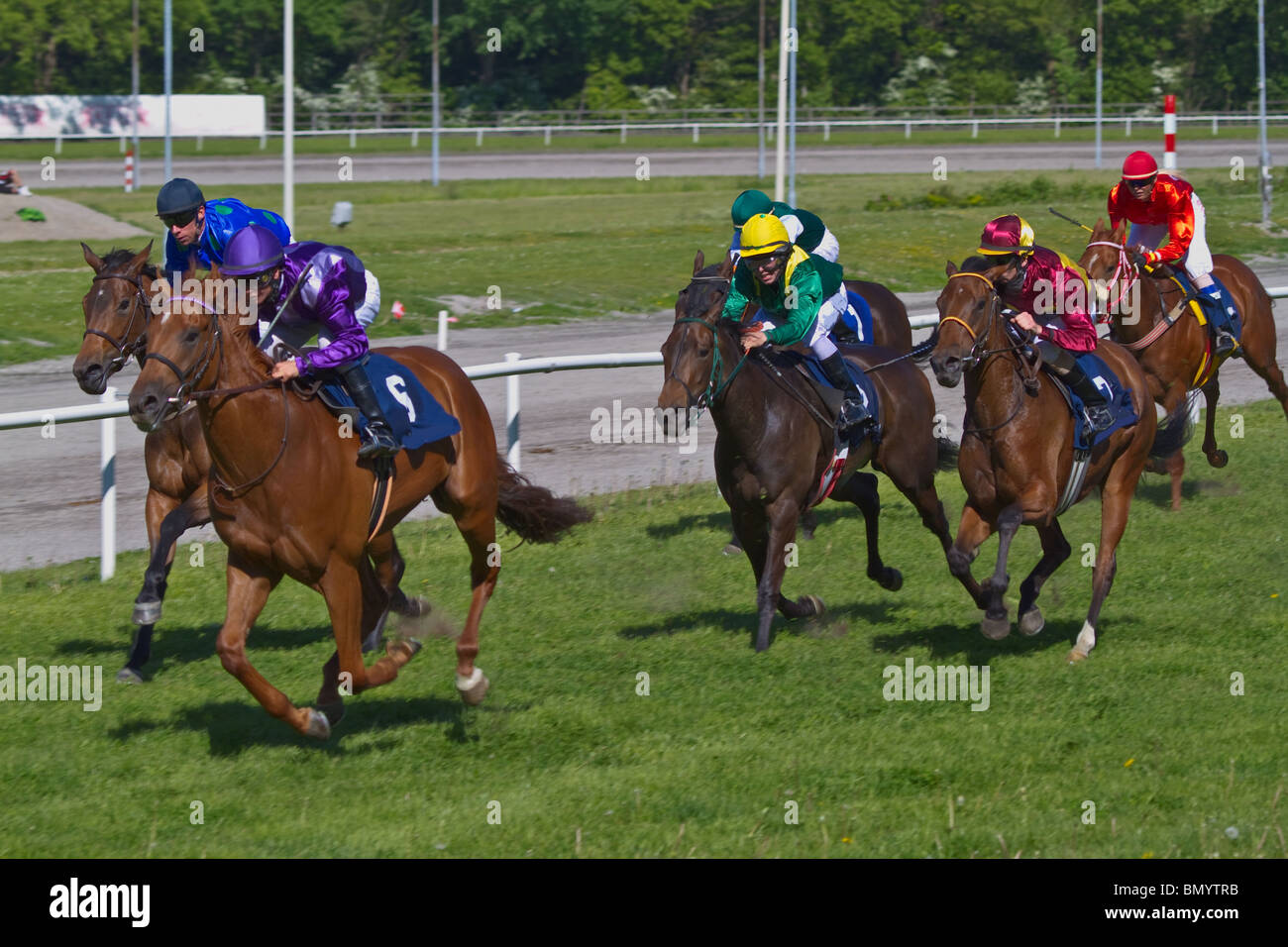 Pferde sport fotografie -Fotos und -Bildmaterial in hoher Auflösung – Alamy
