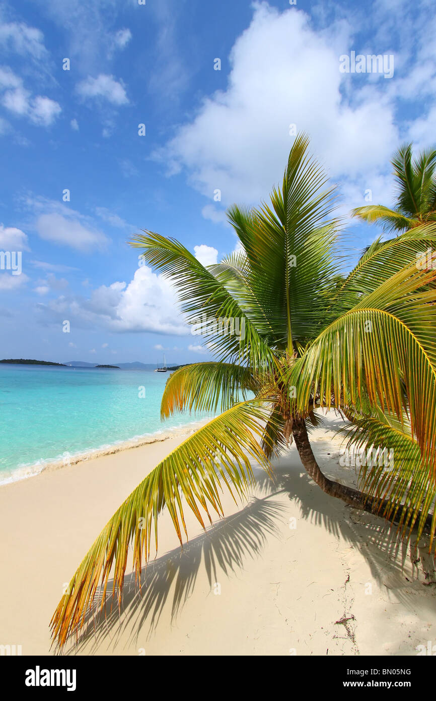 Salomon beach -Fotos und -Bildmaterial in hoher Auflösung – Alamy