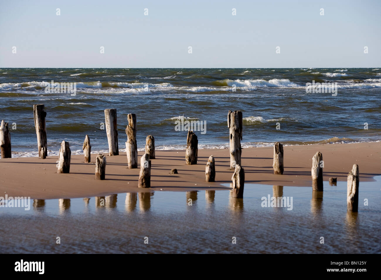 Slitere national park -Fotos und -Bildmaterial in hoher Auflösung – Alamy
