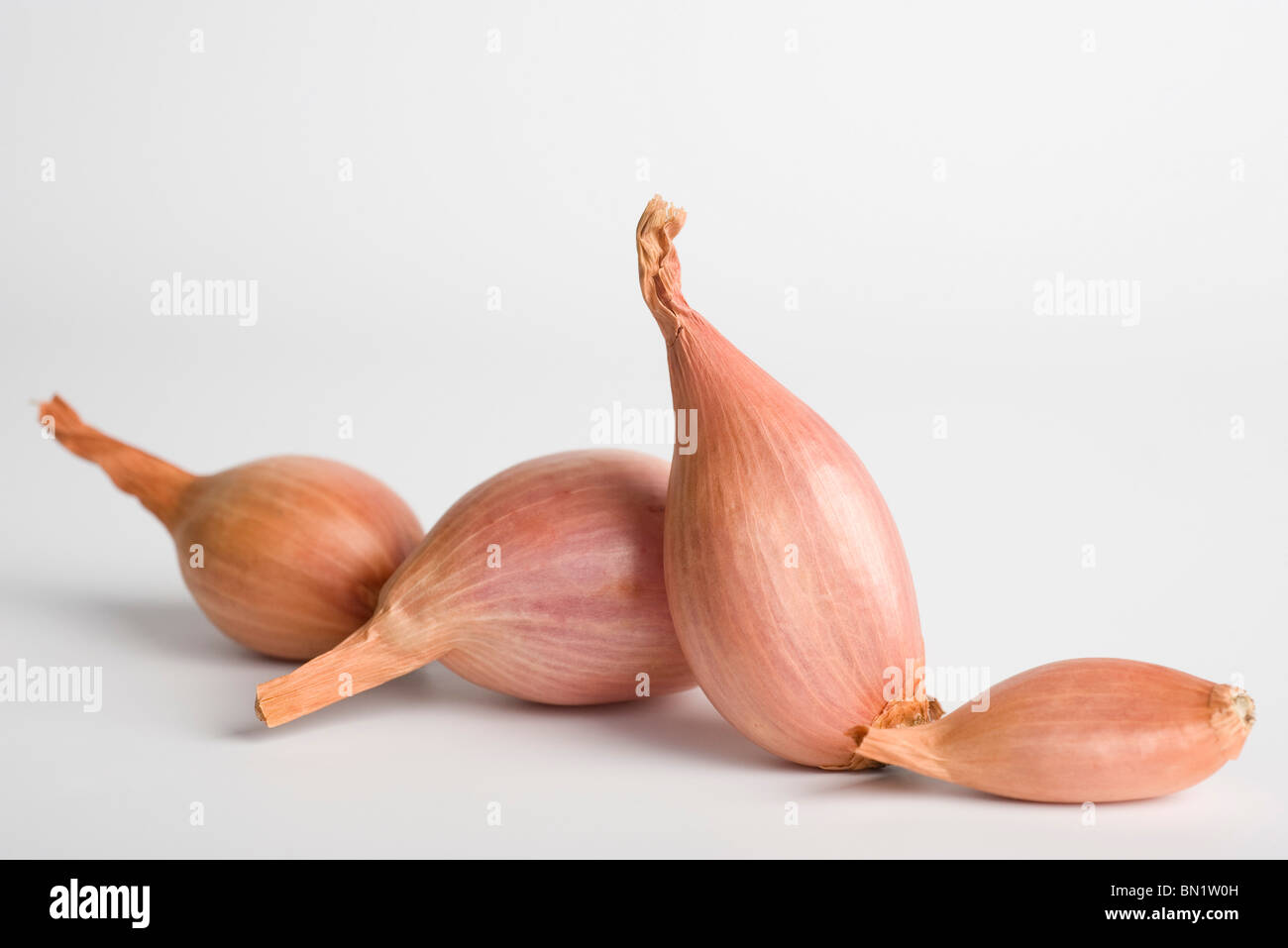 Reihe von schalotten -Fotos und -Bildmaterial in hoher Auflösung – Alamy