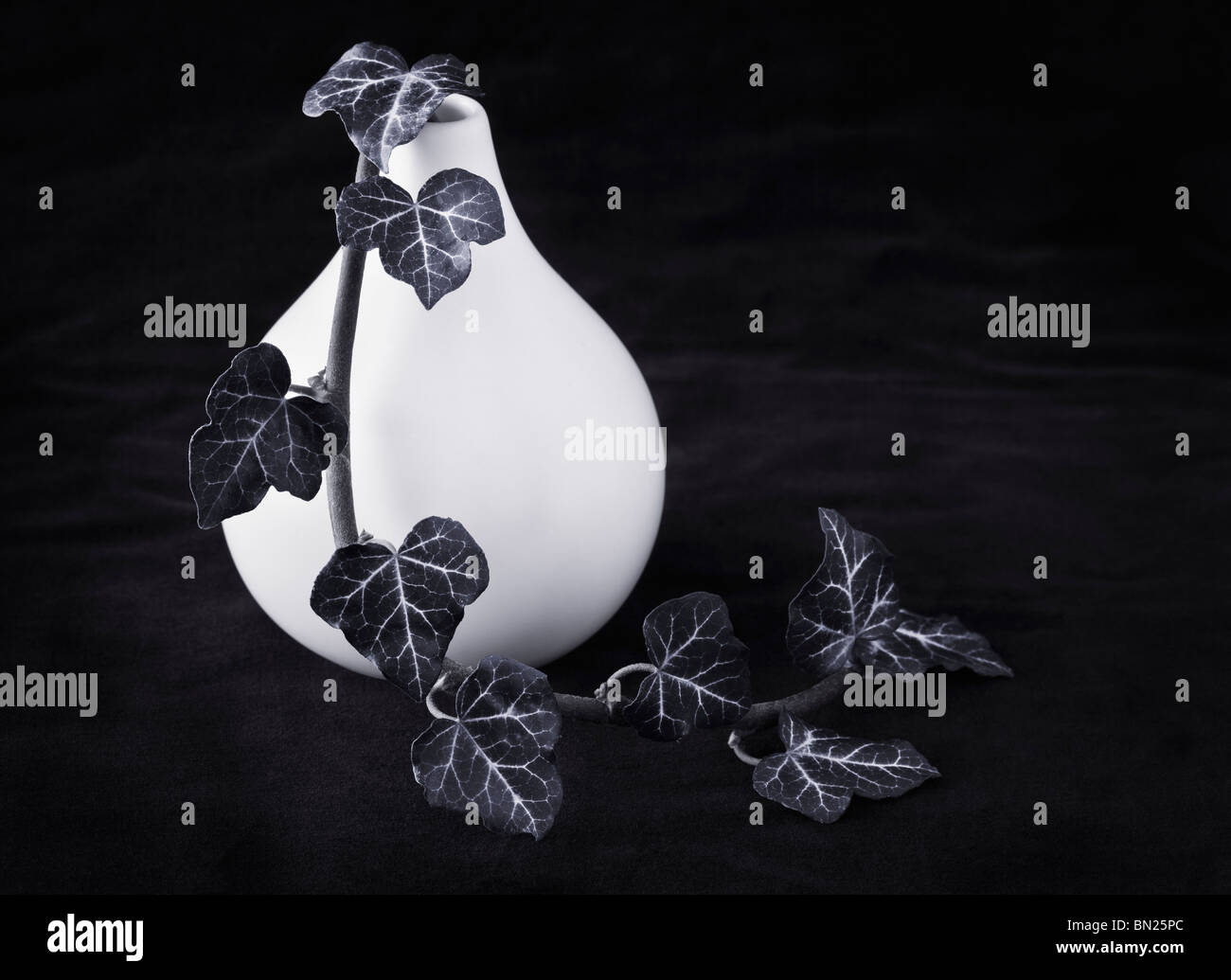 Efeu schwarzer hintergrund -Fotos und -Bildmaterial in hoher Auflösung ...