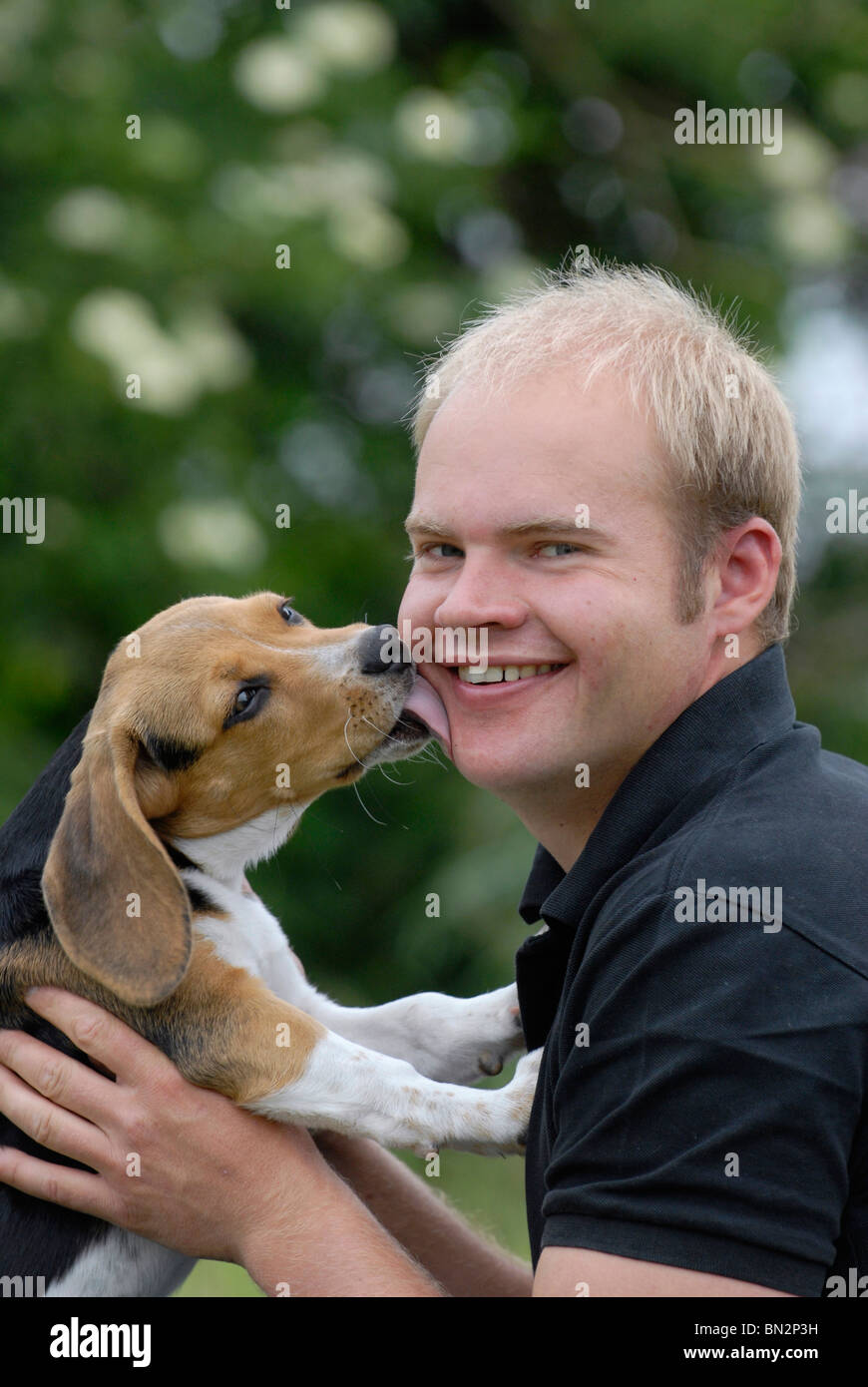 Hund hunde leckt gesicht -Fotos und -Bildmaterial in hoher Auflösung ...