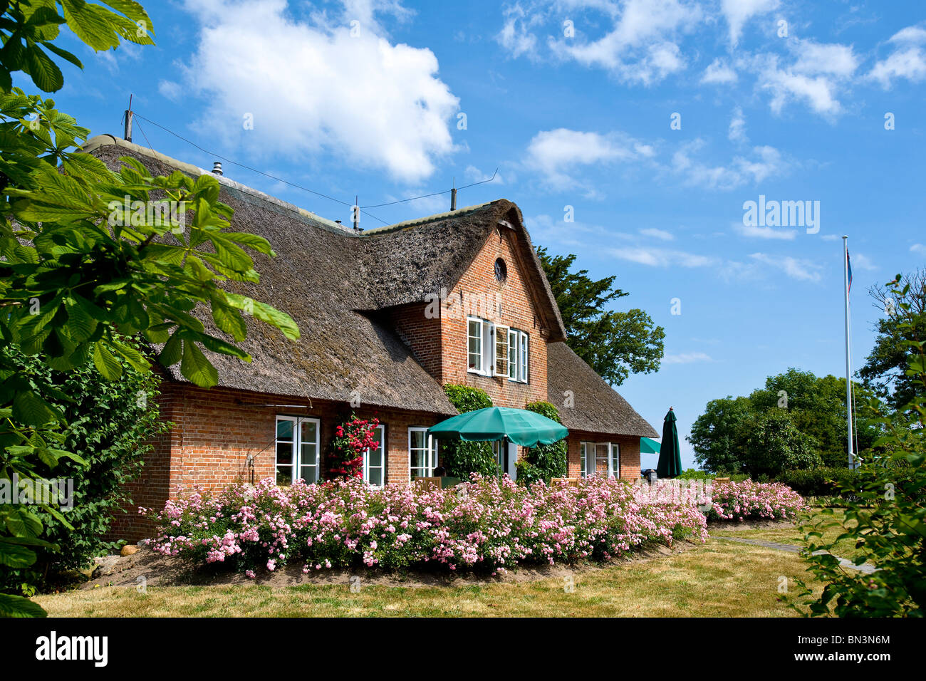 Sylt flora -Fotos und -Bildmaterial in hoher Auflösung – Alamy