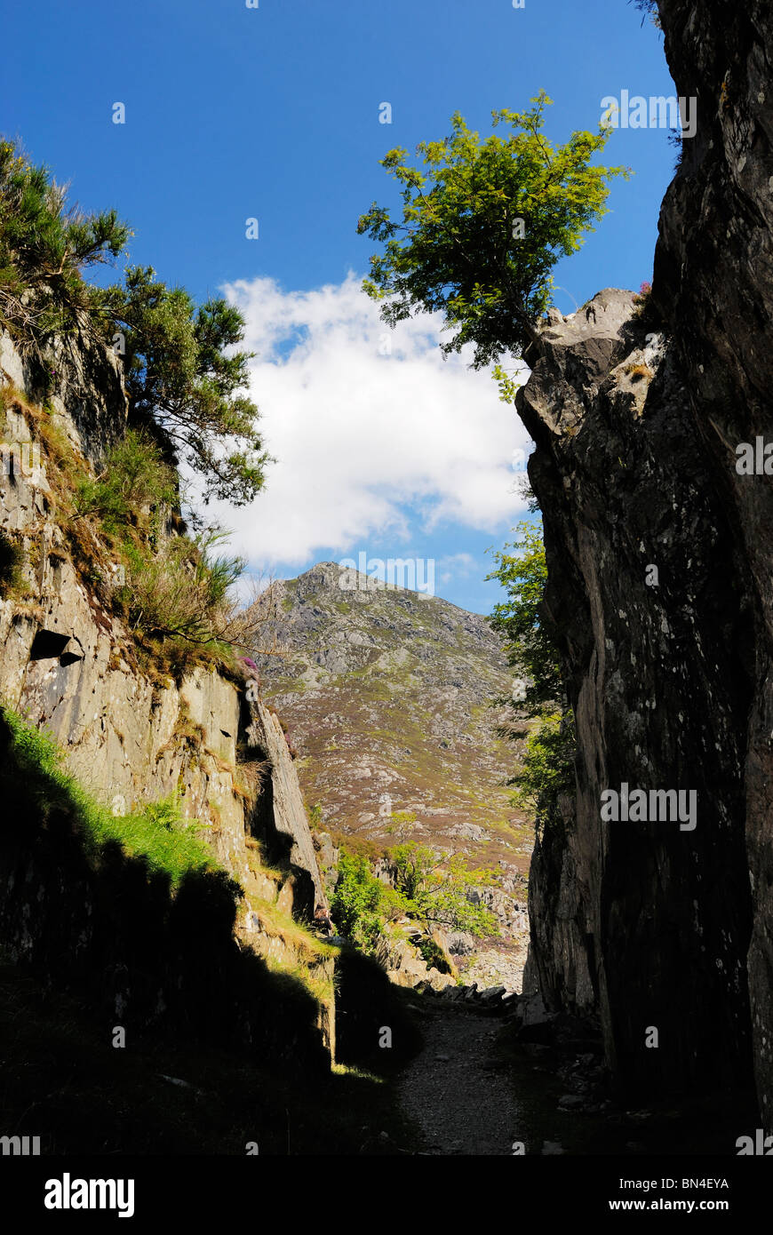 Federzeichnung yr Ole Wen von Tin Can Gulley in Ogwen. Eines der ...