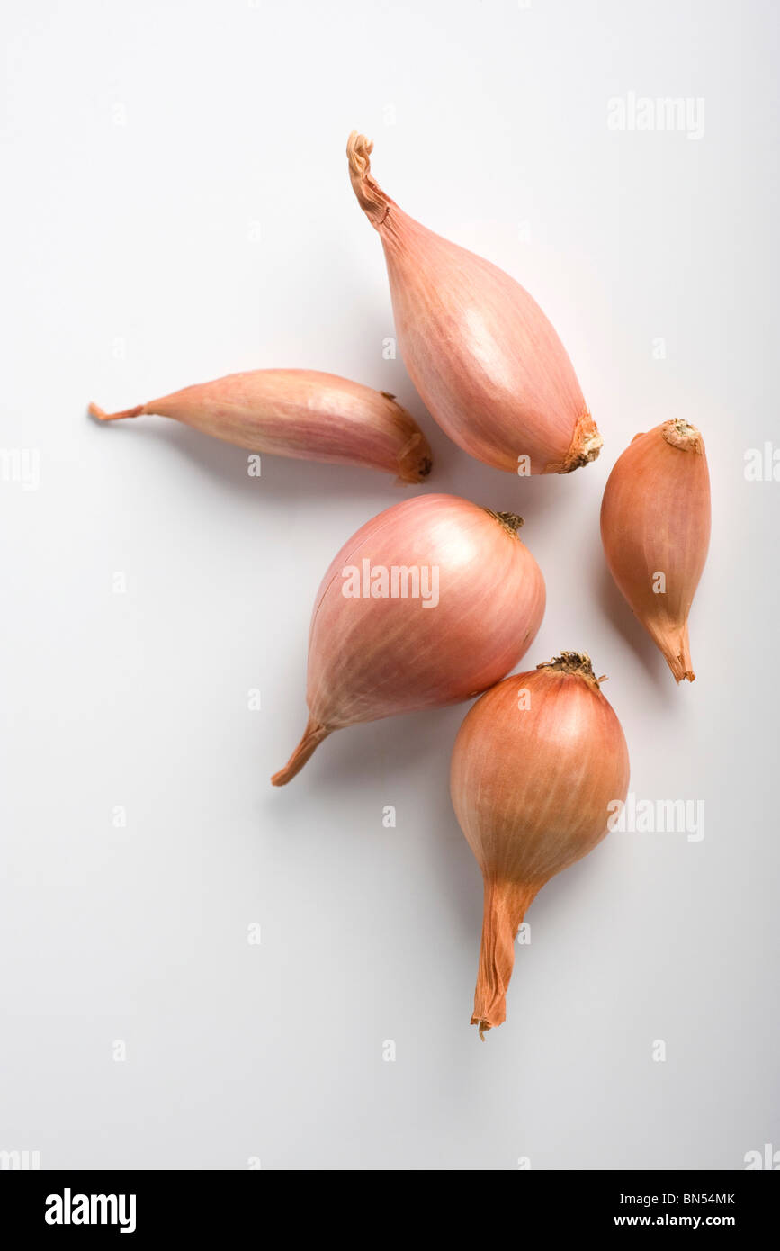 Schalotten von oben -Fotos und -Bildmaterial in hoher Auflösung – Alamy