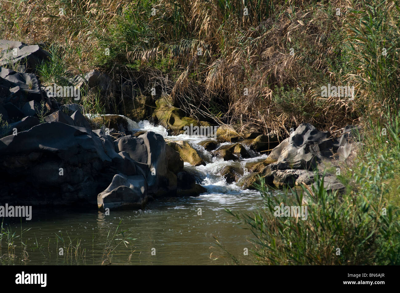 Der Jordan durch Baqoura Naharayim oder in der Nähe der israelischen ...