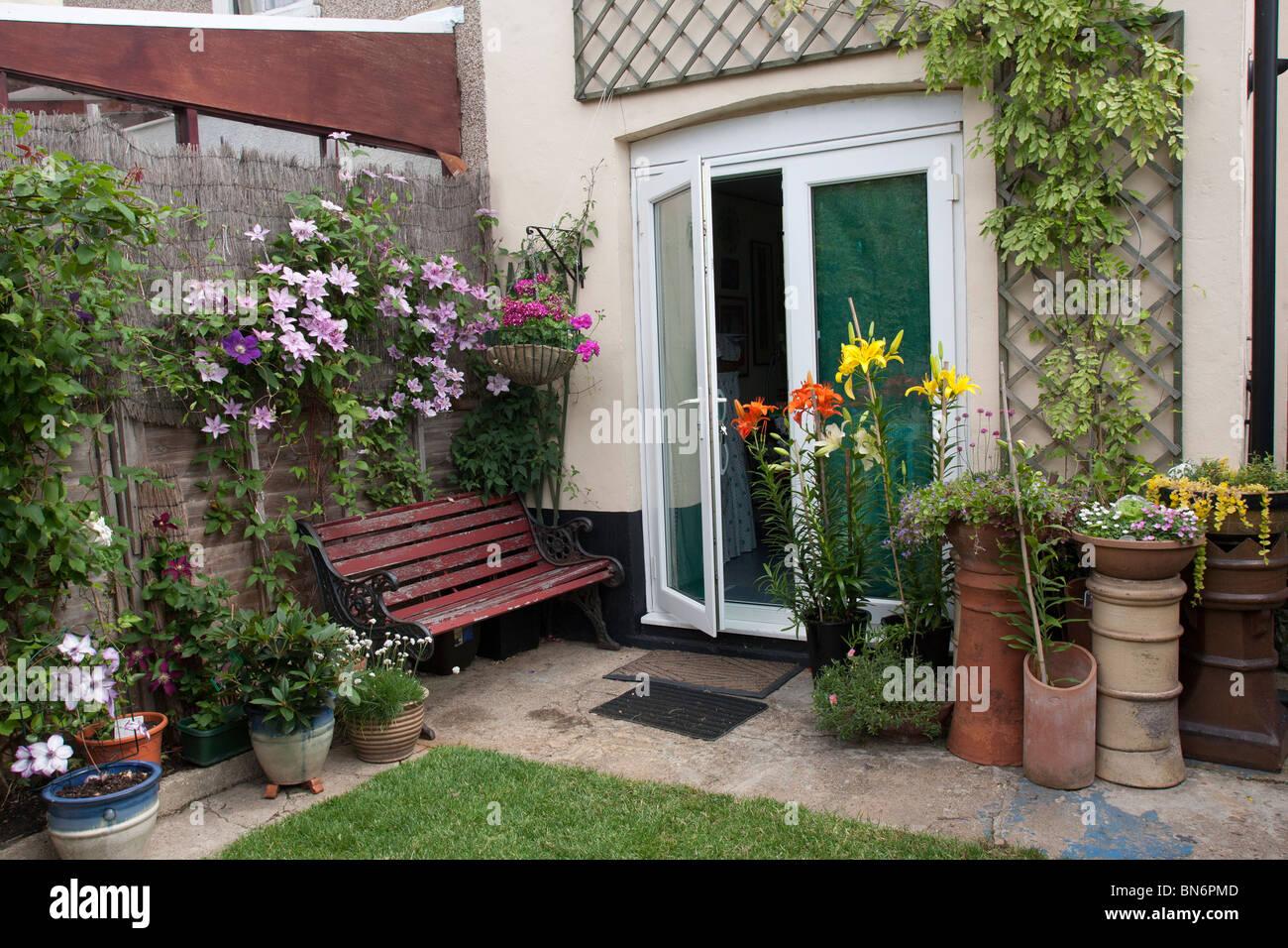 Clematis haus -Fotos und -Bildmaterial in hoher Auflösung – Alamy