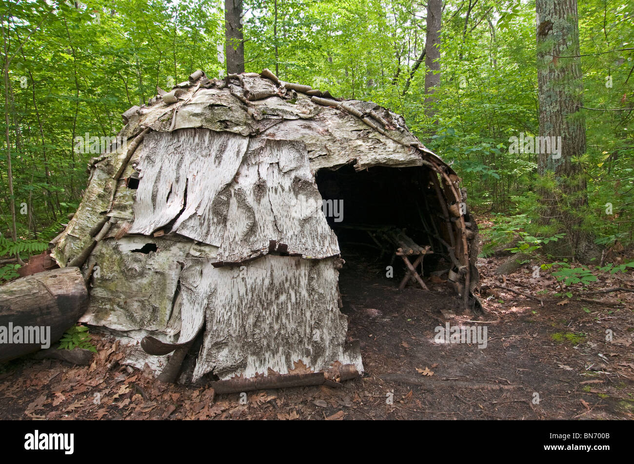 Birkenrinde wigwam -Fotos und -Bildmaterial in hoher Auflösung – Alamy