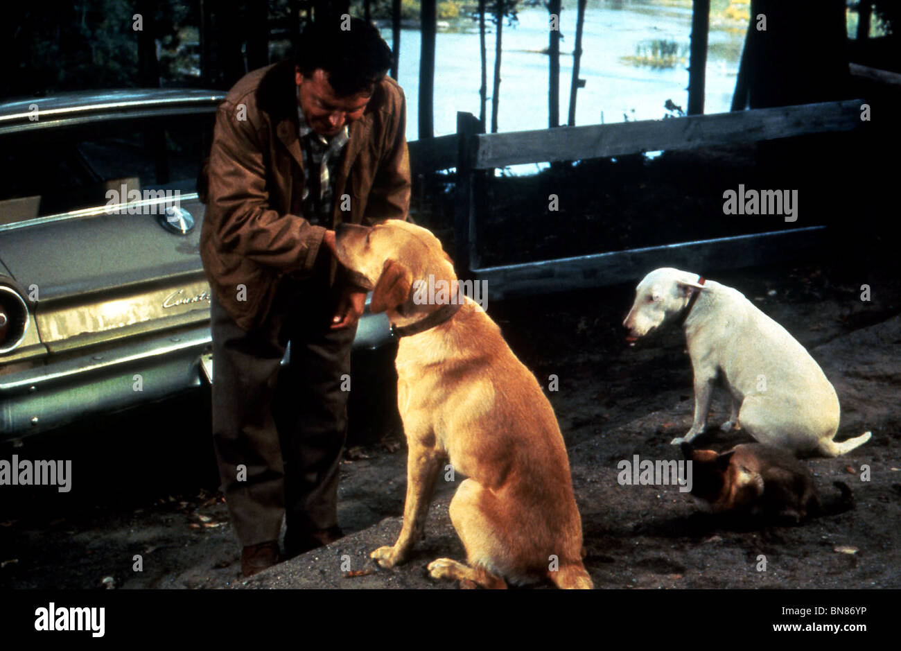 Die unglaubliche Reise (1963) FLETCHER MARKLE (DIR Stockfotografie - Alamy