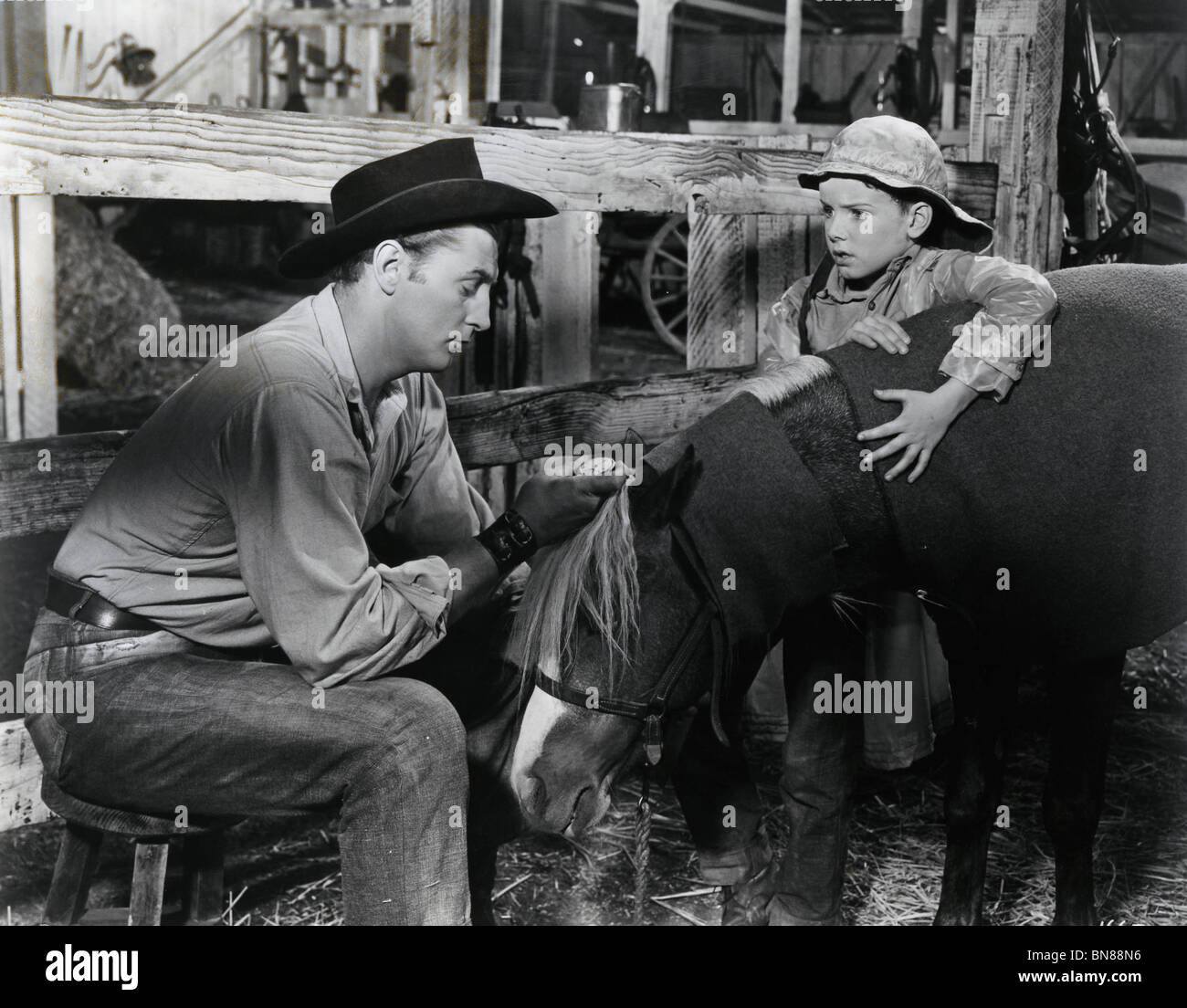 Peter miles -Fotos und -Bildmaterial in hoher Auflösung – Alamy