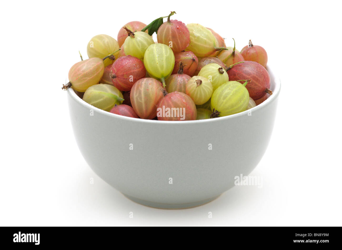 Stachelbeere ausgeschnitten -Fotos und -Bildmaterial in hoher Auflösung ...