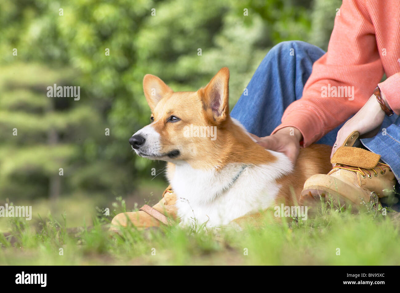Hund Besitzer Liebe Stockfotos und -bilder Kaufen - Alamy
