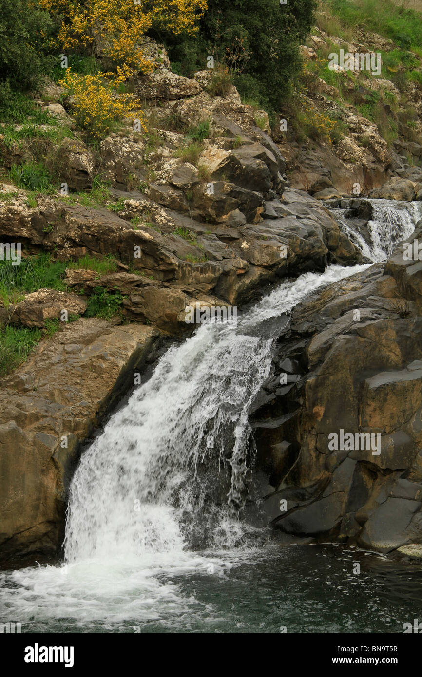 Golan wasser -Fotos und -Bildmaterial in hoher Auflösung – Alamy
