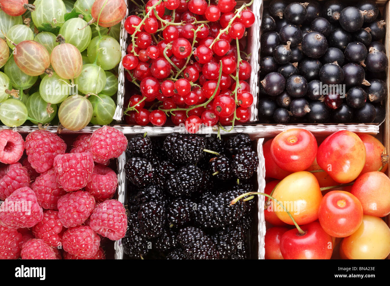 Verschiedene bunte Beeren im Feld Stockfotografie - Alamy