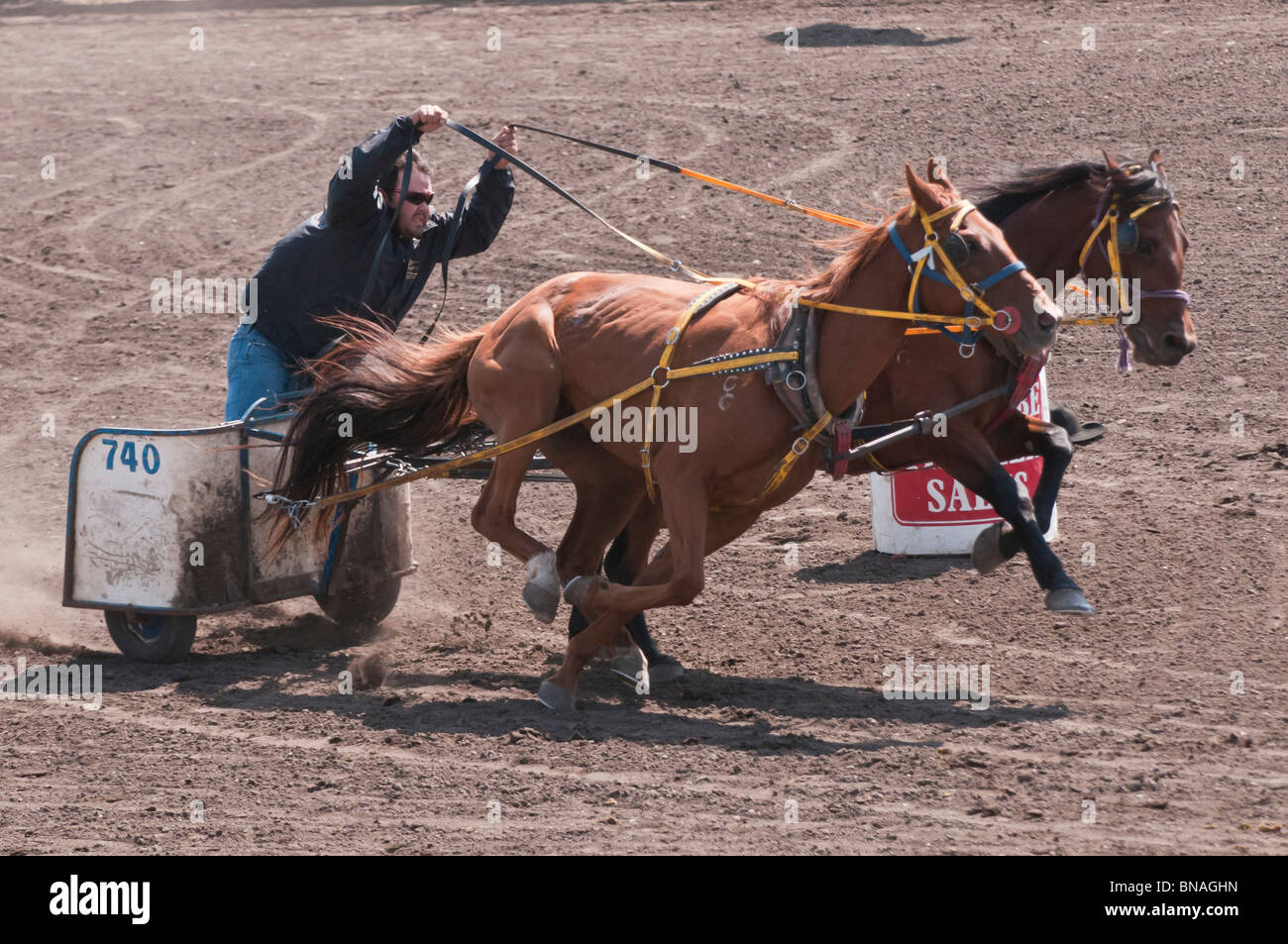 Chariot racing -Fotos und -Bildmaterial in hoher Auflösung – Alamy