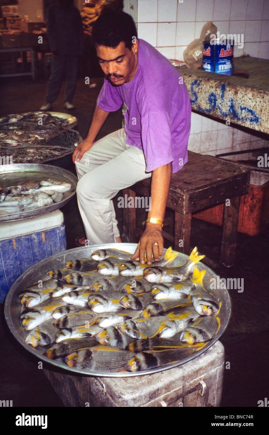 Manama bahrain fish market fish -Fotos und -Bildmaterial in hoher ...