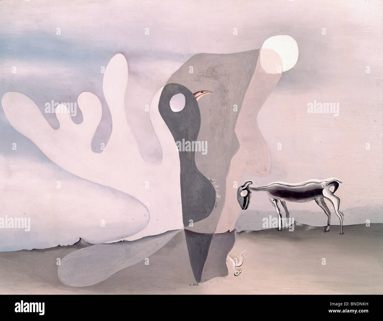 Salvador dali malerei -Fotos und -Bildmaterial in hoher Auflösung – Alamy