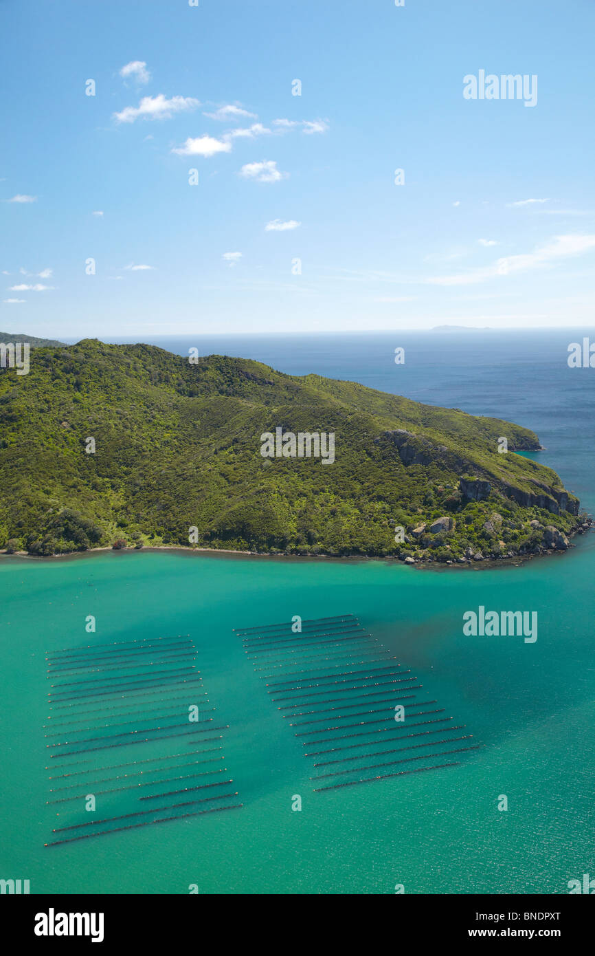 Aquafarming, Kennedy Bay, Coromandel Peninsula, North Island ...