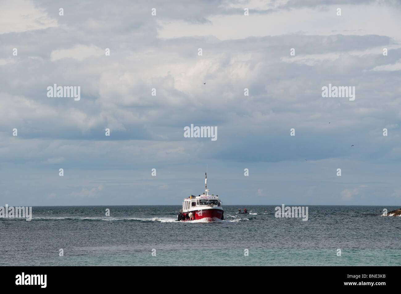 Einer der Billy Shiels frohe Botschaft auf dem Weg zum inneren Farne ...