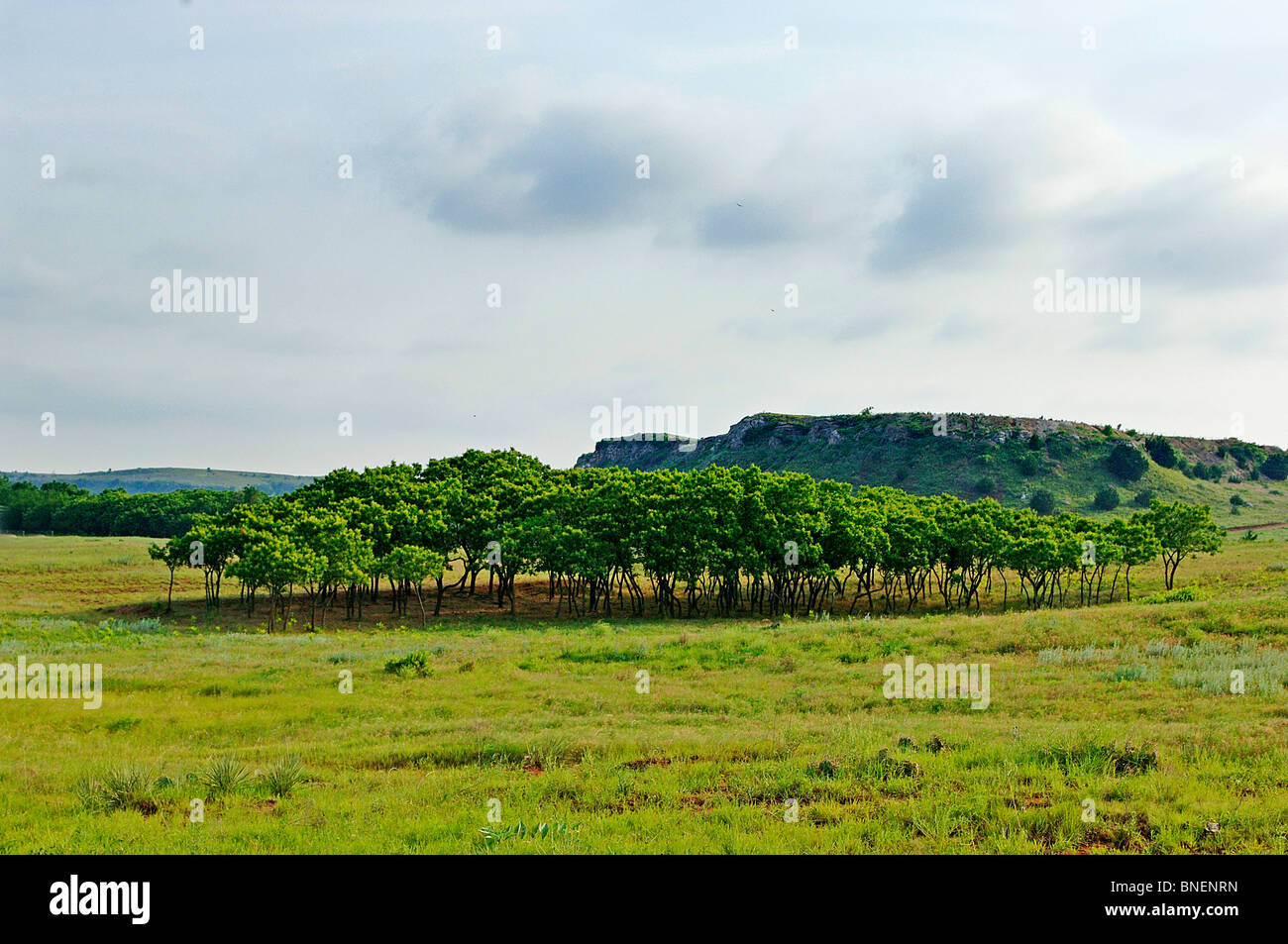 US-Kernland umfasst, "Farmscapes", Ranchland, staubige Straßen, Rasen ...