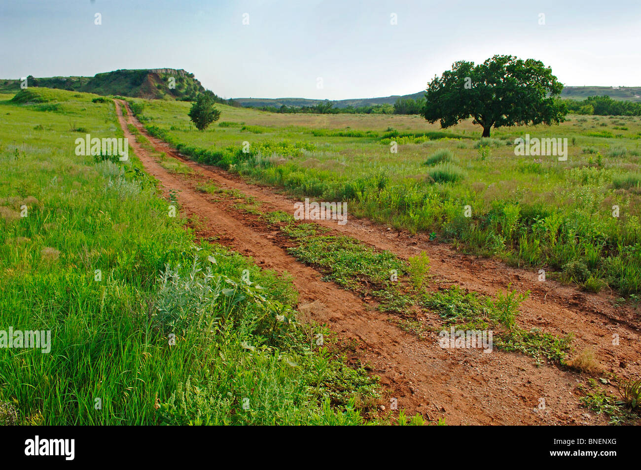US-Kernland umfasst, "Farmscapes", Ranchland, staubige Straßen, Rasen ...