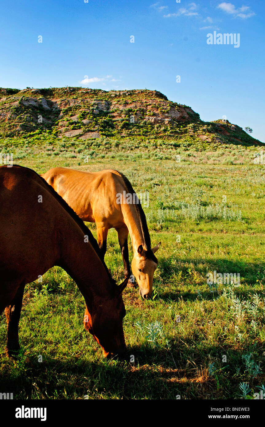 US-Kernland umfasst, "Farmscapes", Ranchland, staubige Straßen, Rasen ...