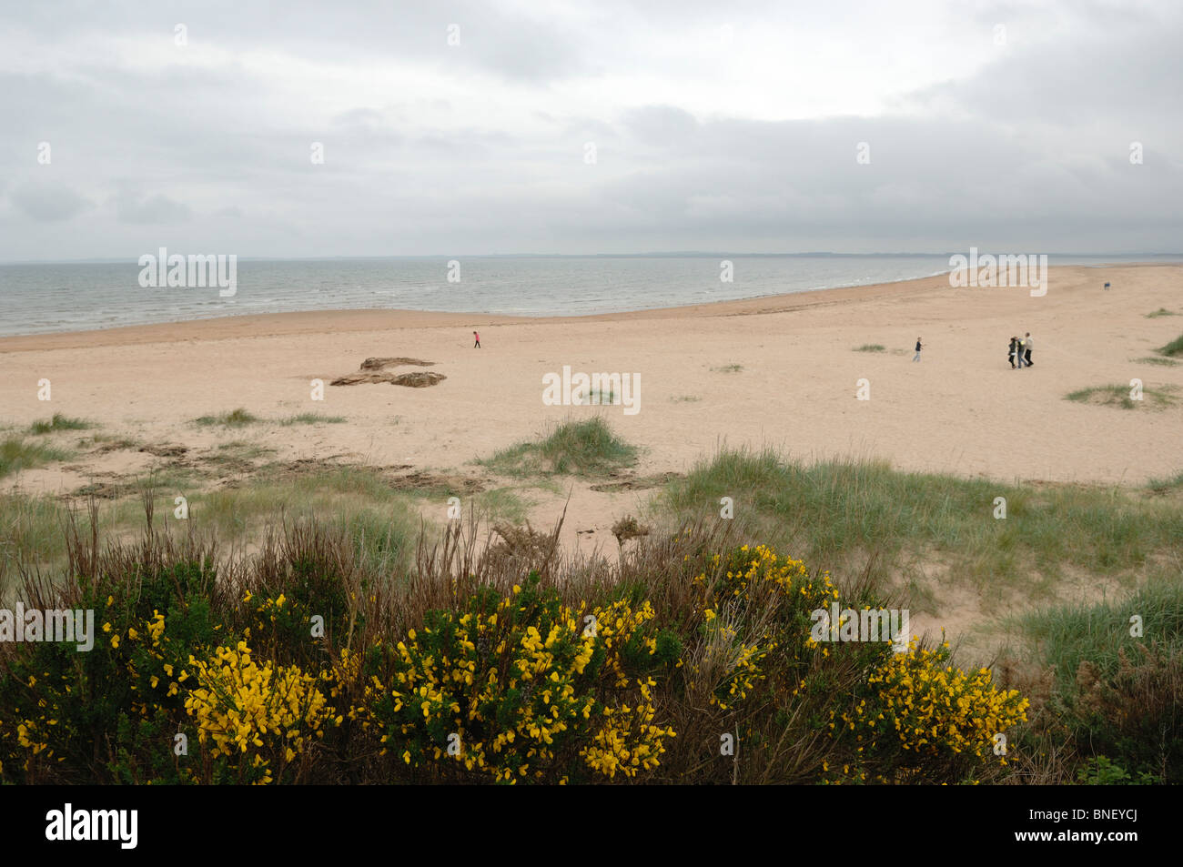 Dornoch Sand auf den Dornoch Firth in Sutherland Schottland ...