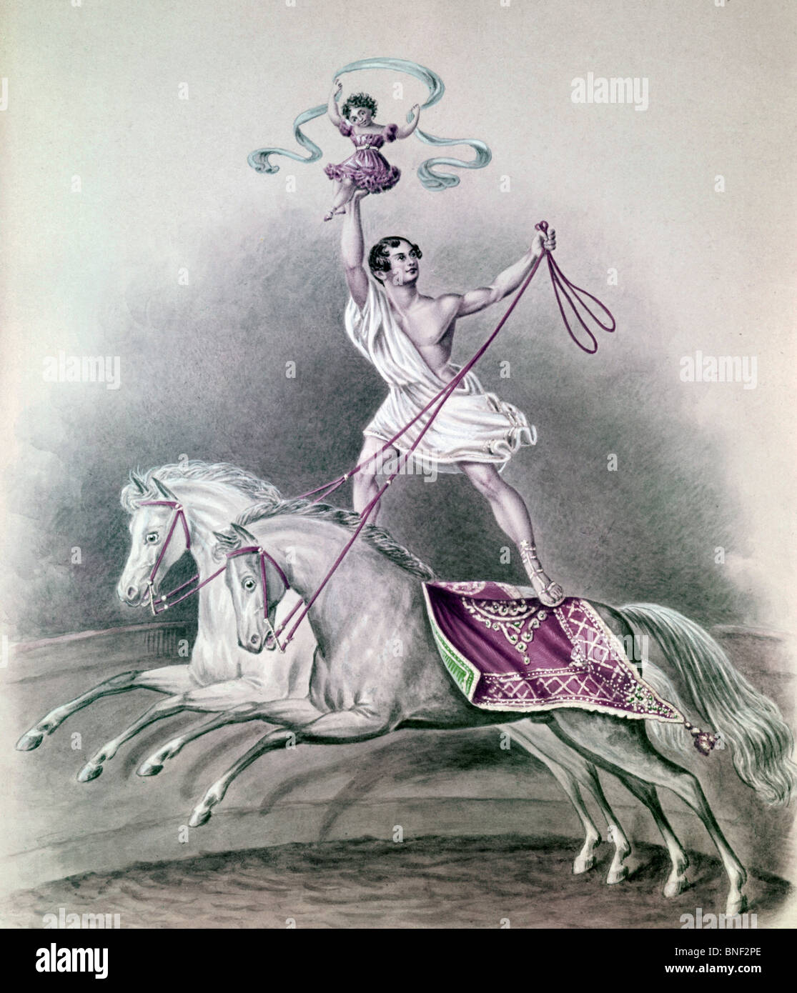 Alex Hoag Stockfotos und -bilder Kaufen - Alamy