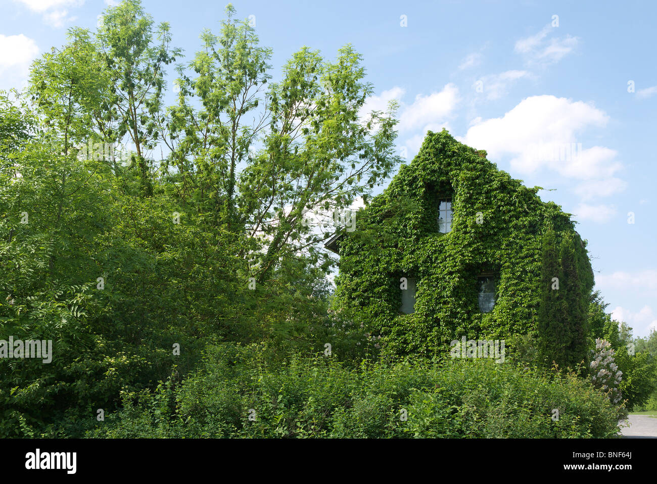 Efeu haus -Fotos und -Bildmaterial in hoher Auflösung – Alamy