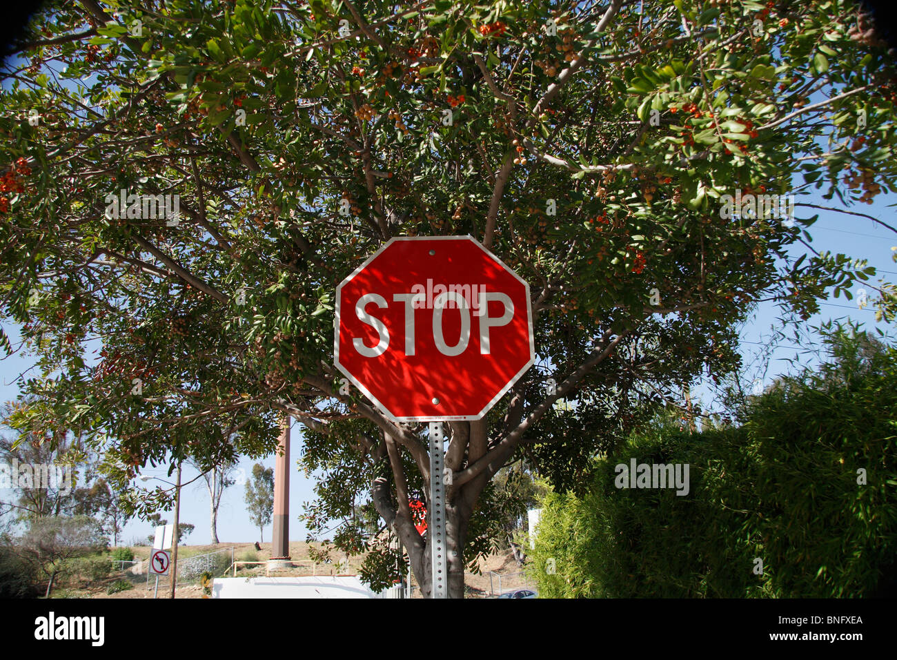 Rote stoppschild -Fotos und -Bildmaterial in hoher Auflösung – Alamy