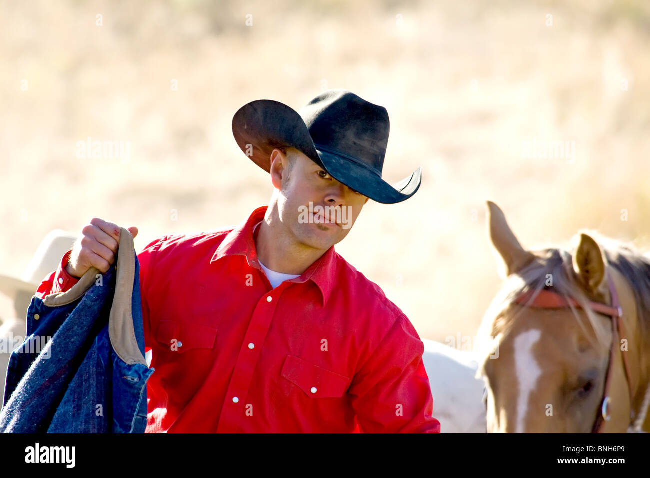 Gut aussehend Cowboy und sein Pferd heraus arbeiten Stockfotografie - Alamy