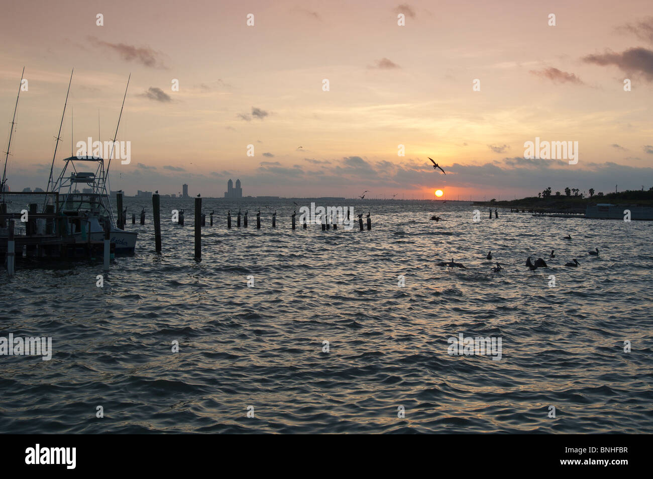 Punkt isabel -Fotos und -Bildmaterial in hoher Auflösung – Alamy