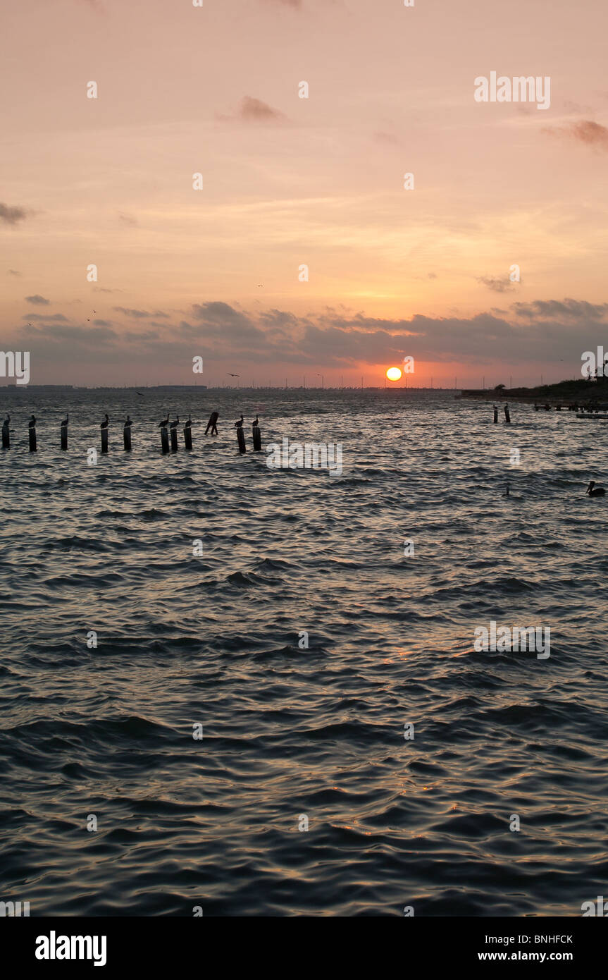 Punkt isabel -Fotos und -Bildmaterial in hoher Auflösung – Alamy