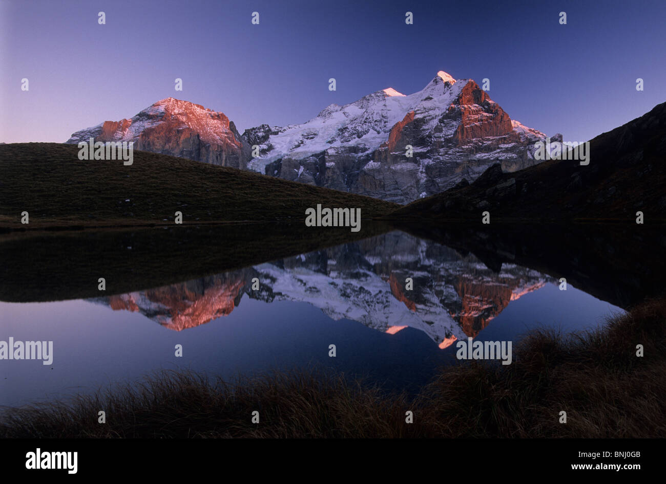 Europa Schweiz Kanton von Bern Berner Oberland Hornseeli Wetterhorn ...
