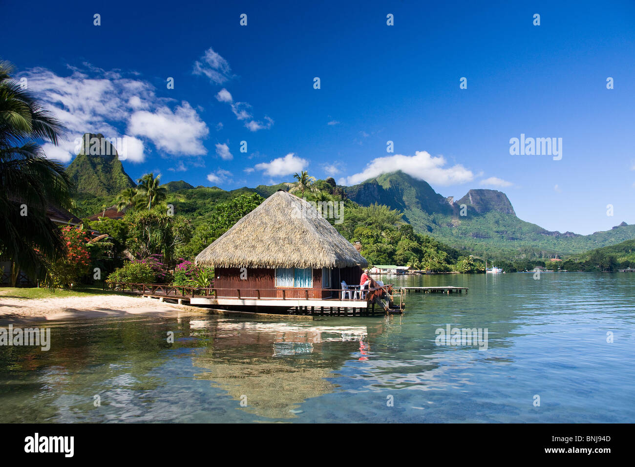 Tahiti Moorea Insel Gesellschaftsinseln Gesellschaftsinseln Cooks Bay ...