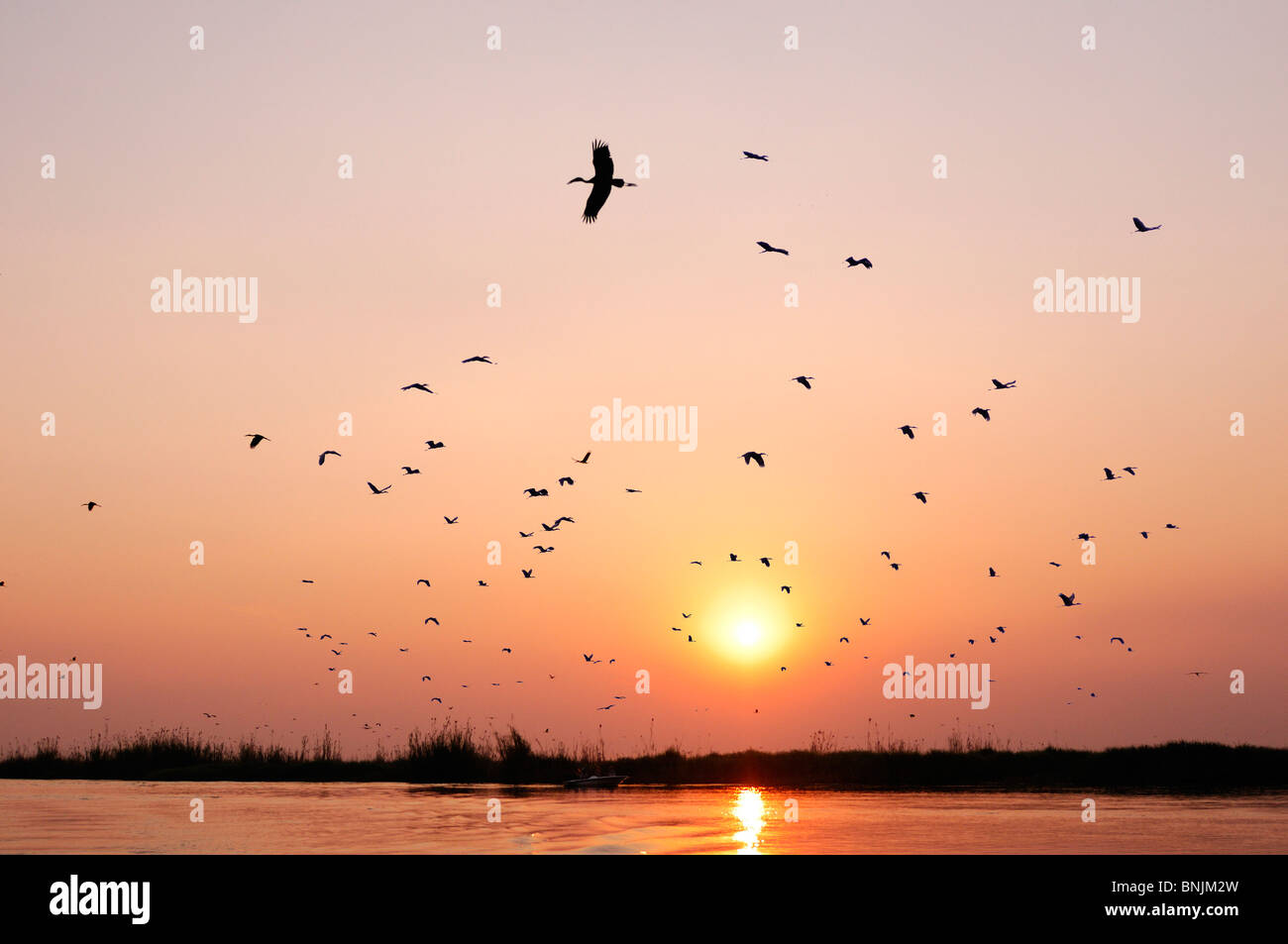Sonnenuntergang Zambezi River Ntwala Island Lodge Kasane Caprivi ...