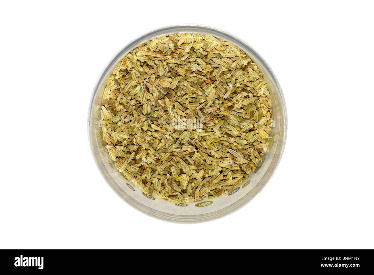 Kerala spice plantation -Fotos und -Bildmaterial in hoher Auflösung – Alamy