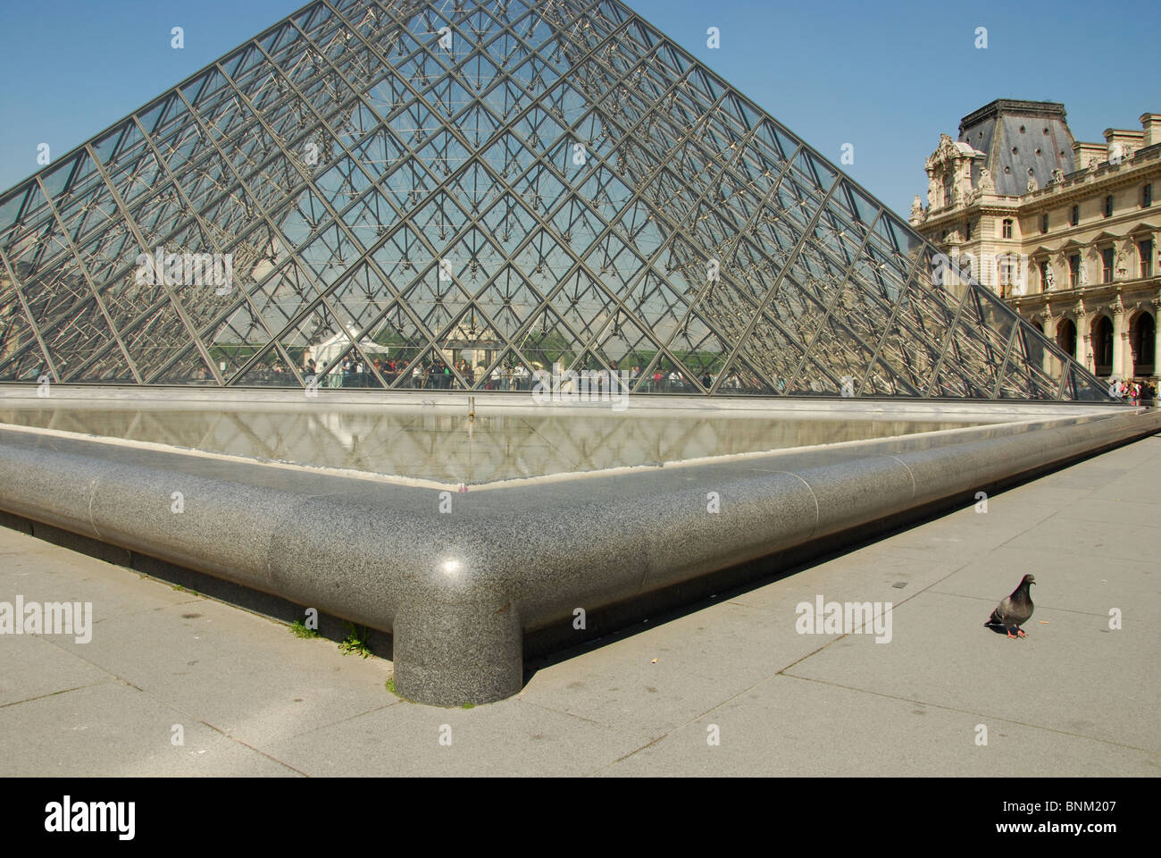 Pariser Taube Stockfotos und -bilder Kaufen - Alamy