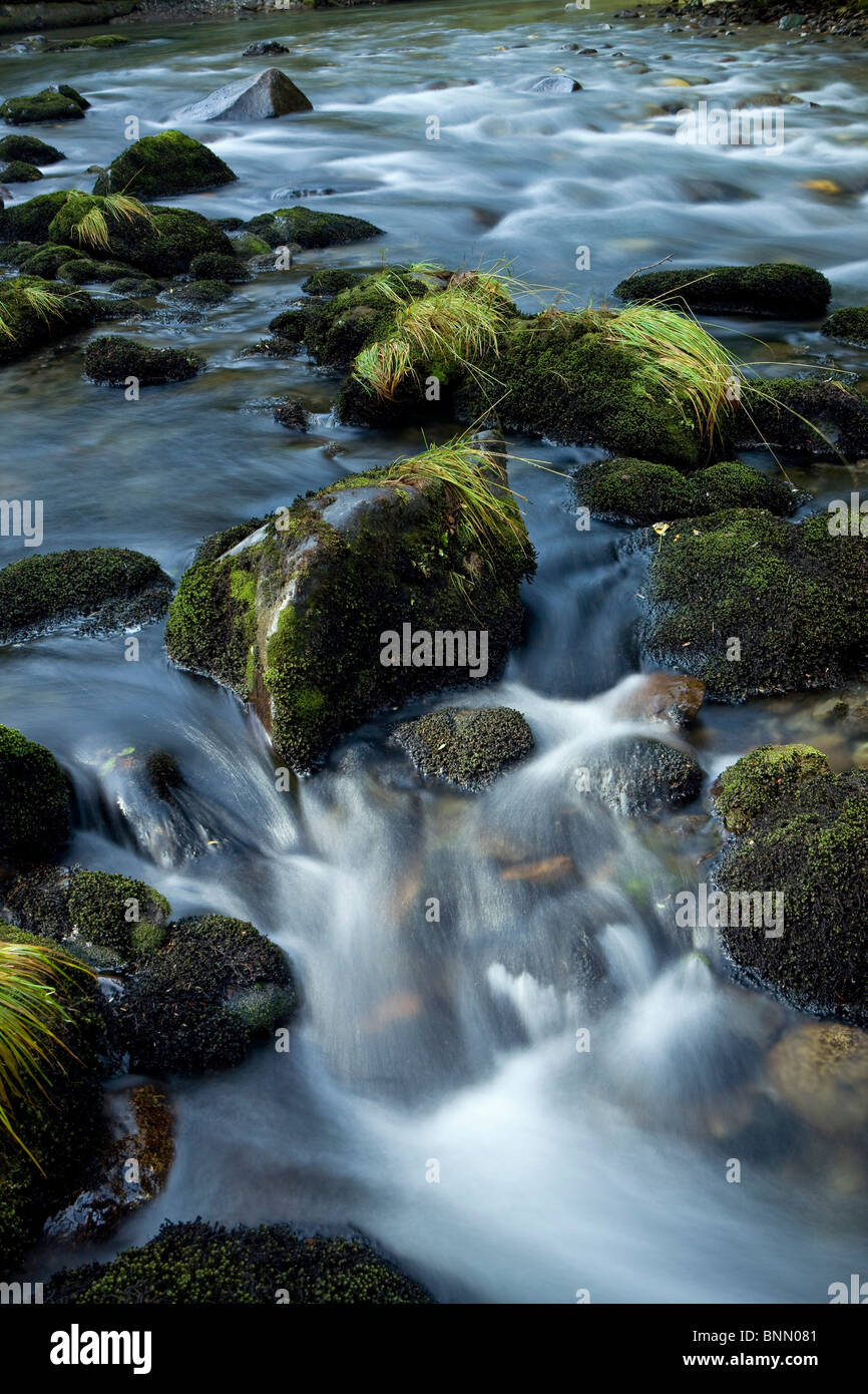 Kleiner Bach Im Wald Stockfotos und -bilder Kaufen - Alamy